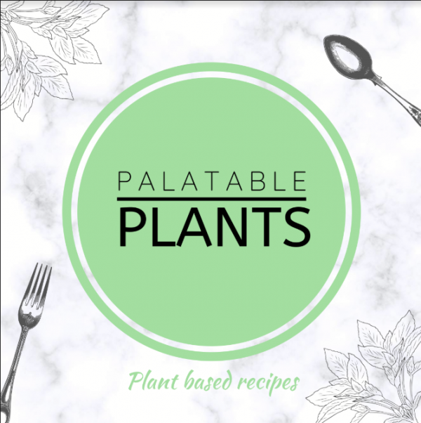 What Does the Bible Really say about Food and Diet? THE VITAL TRUTH so ...