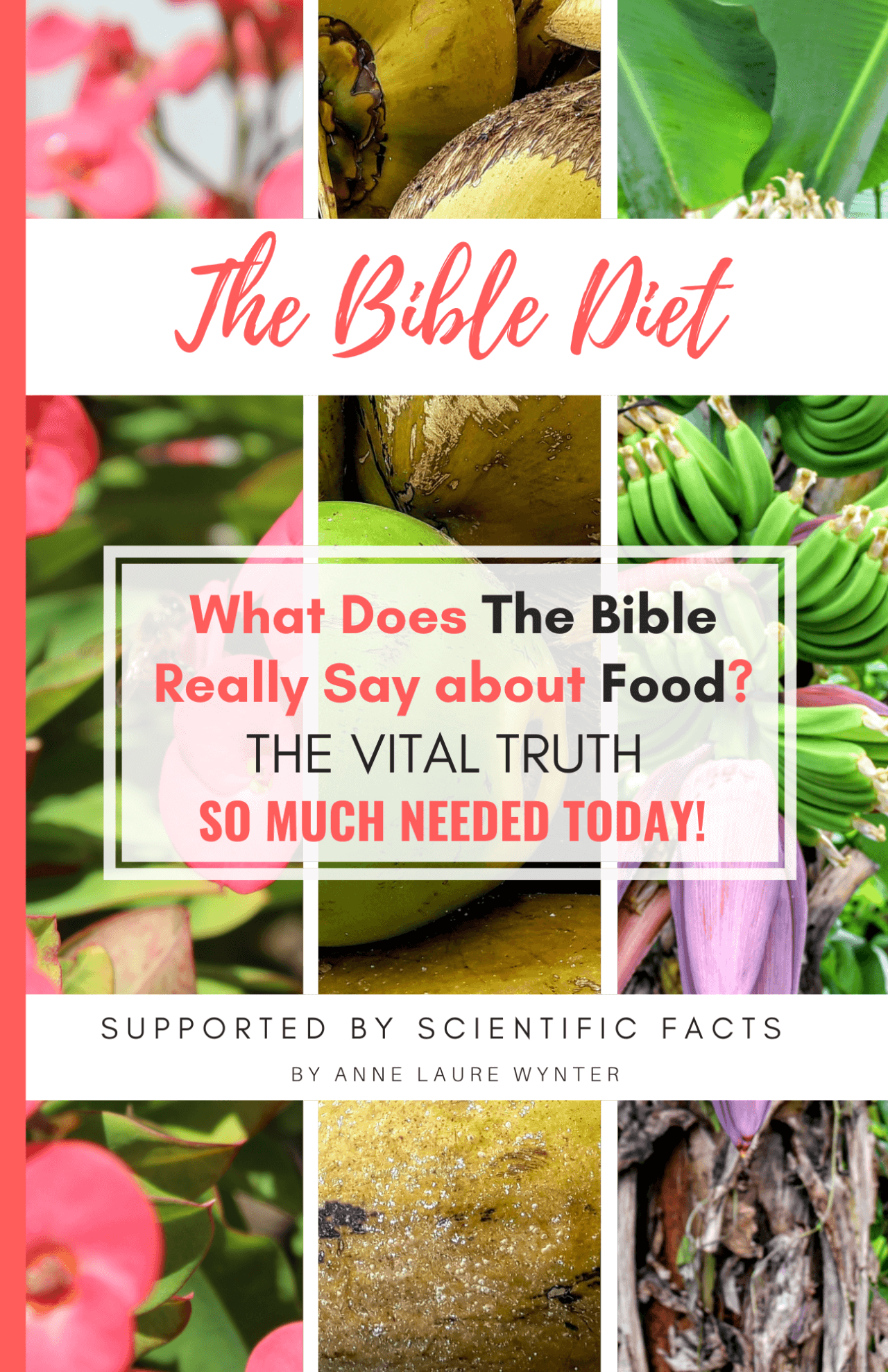 What Does the Bible Really say about Food and Diet? THE VITAL TRUTH so ...